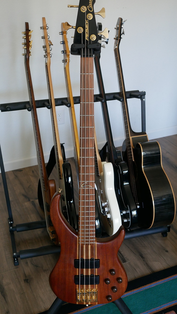 Show Us Your Basses (Part 1) - Gear - BassBuzz Forum