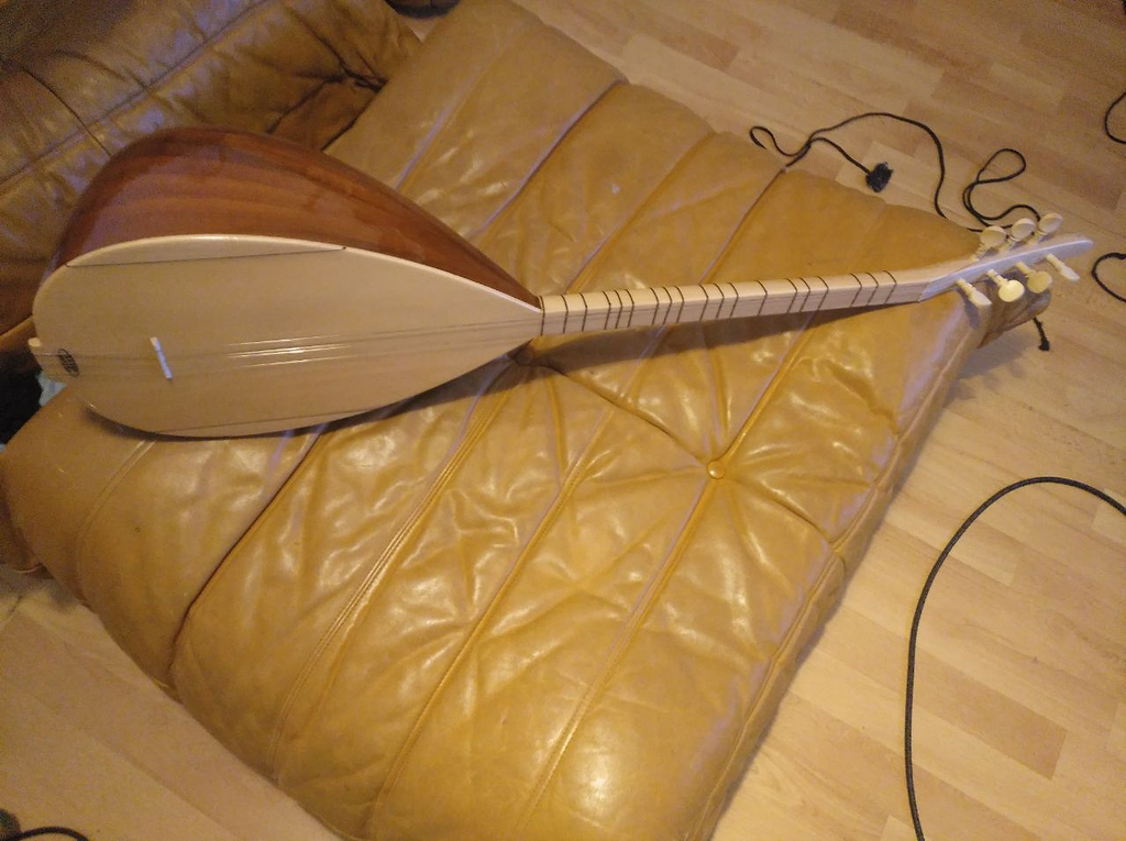Salvage the Lute? Possible project? - Gear - BassBuzz Forum