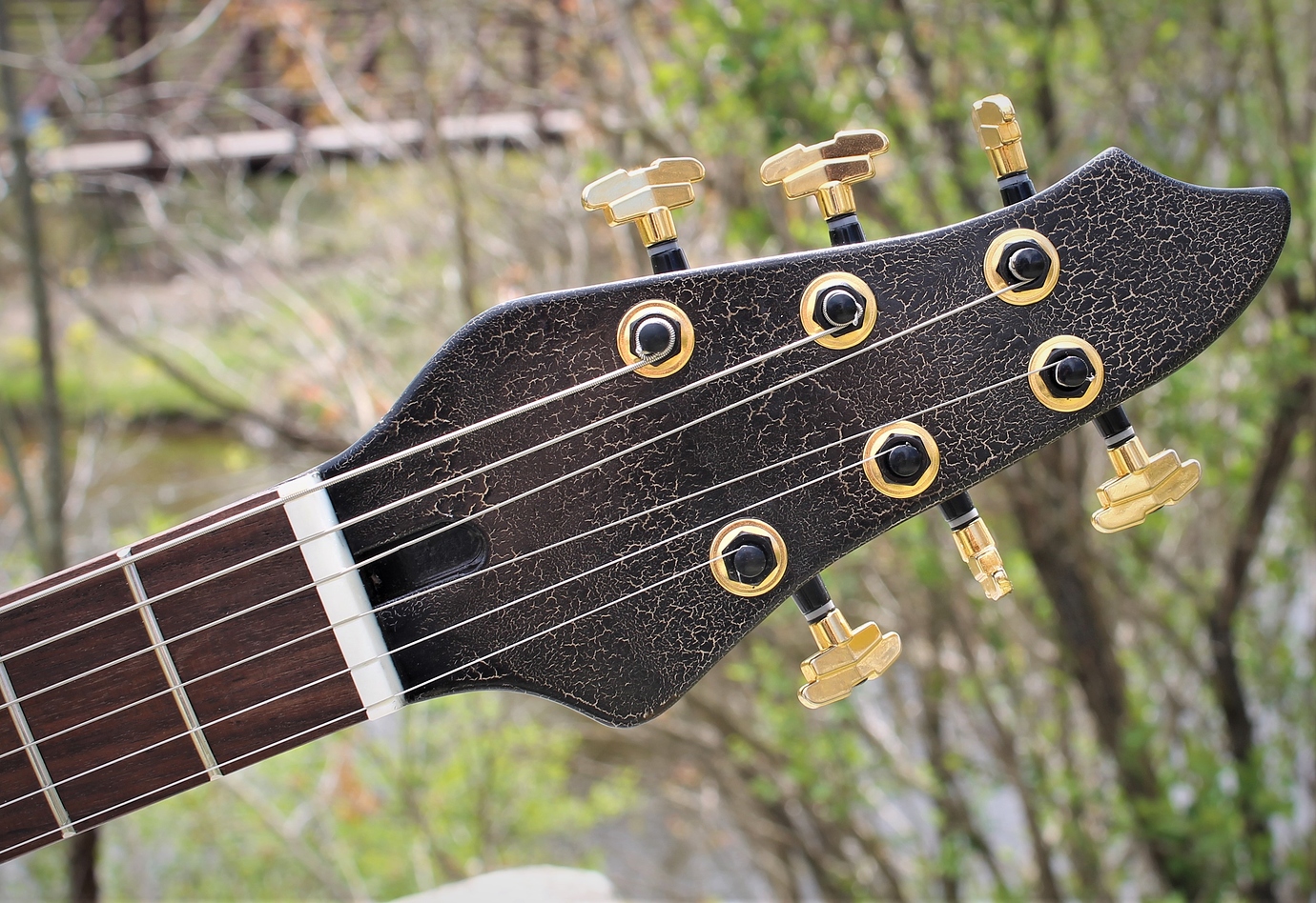 New Piccolo Bass - BassBuzz Forum