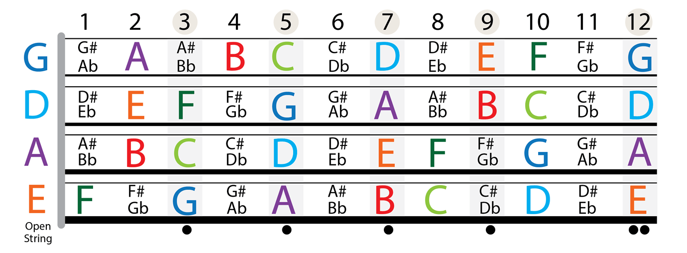 Fretboard Notes Image - Theory - BassBuzz Forum