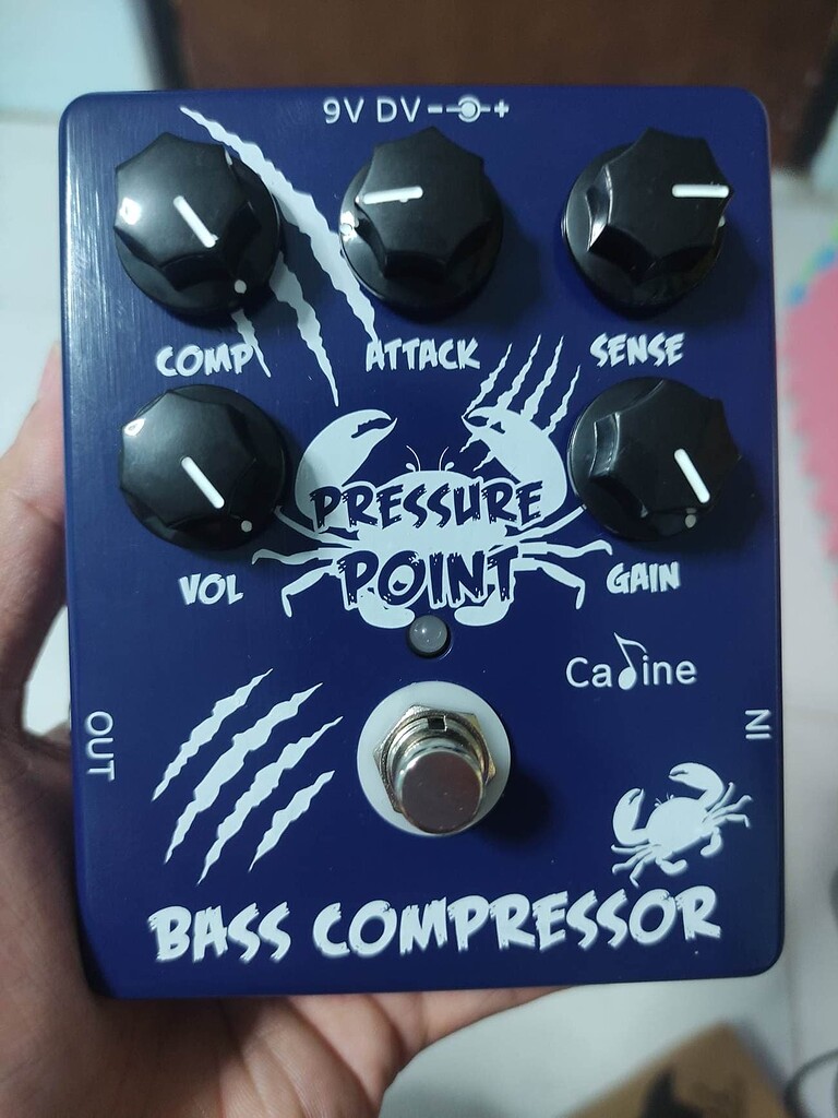 Newbie. Bass Compressor question - Gear - BassBuzz Forum