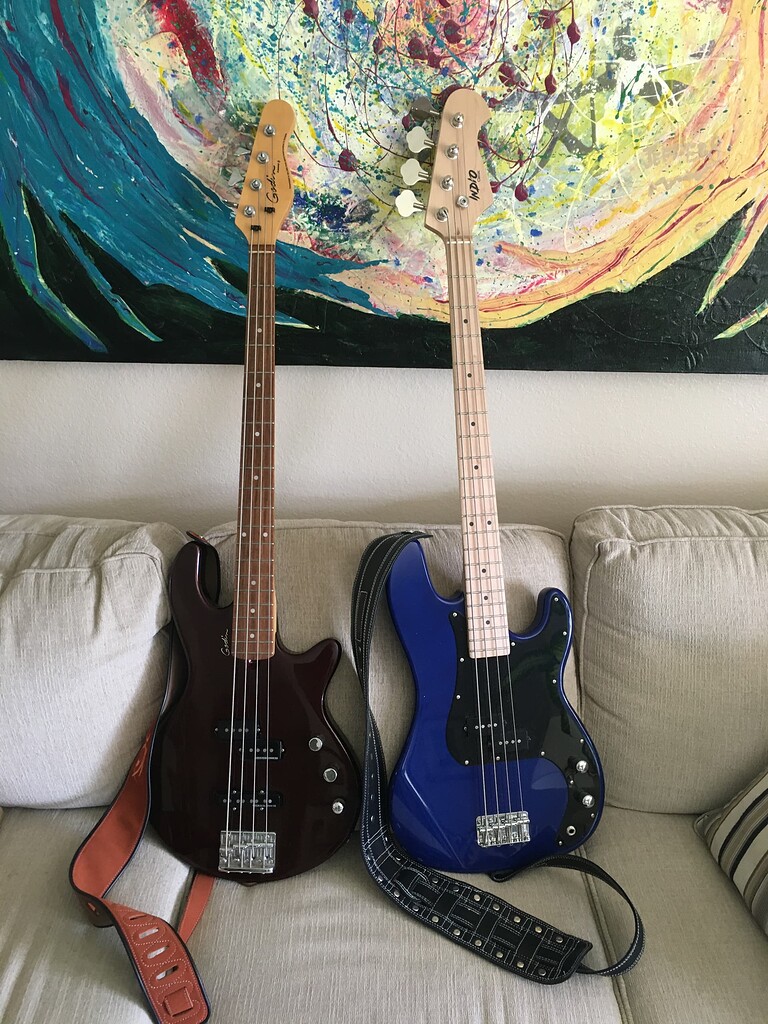 Purchased my second bass - Gear - BassBuzz Forum