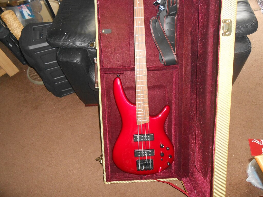 My First Bass - Gear - BassBuzz Forum