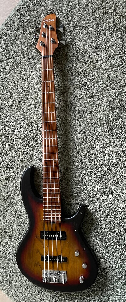 Thinking about a Harley Benton 5 string Bass - Gear - BassBuzz Forum