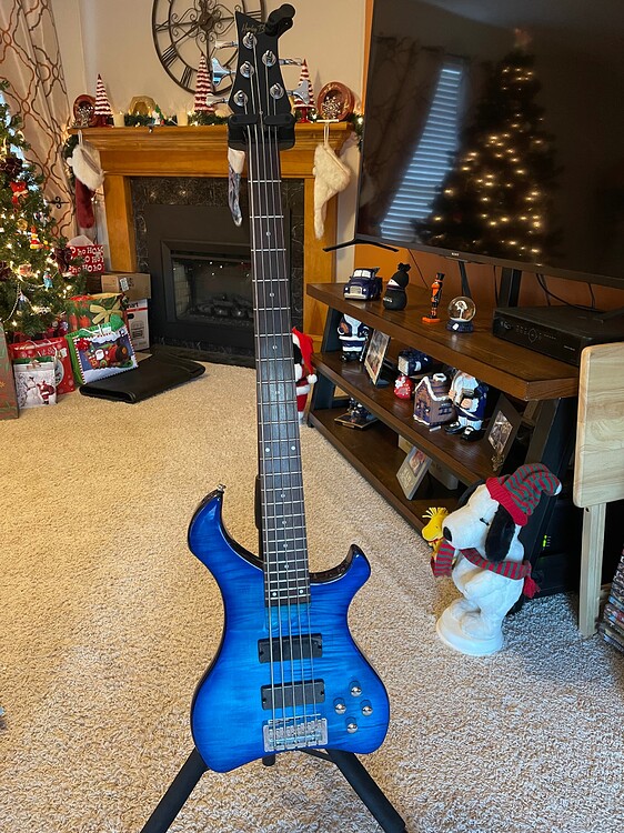 Thinking about a Harley Benton 5 string Bass - Gear - BassBuzz Forum
