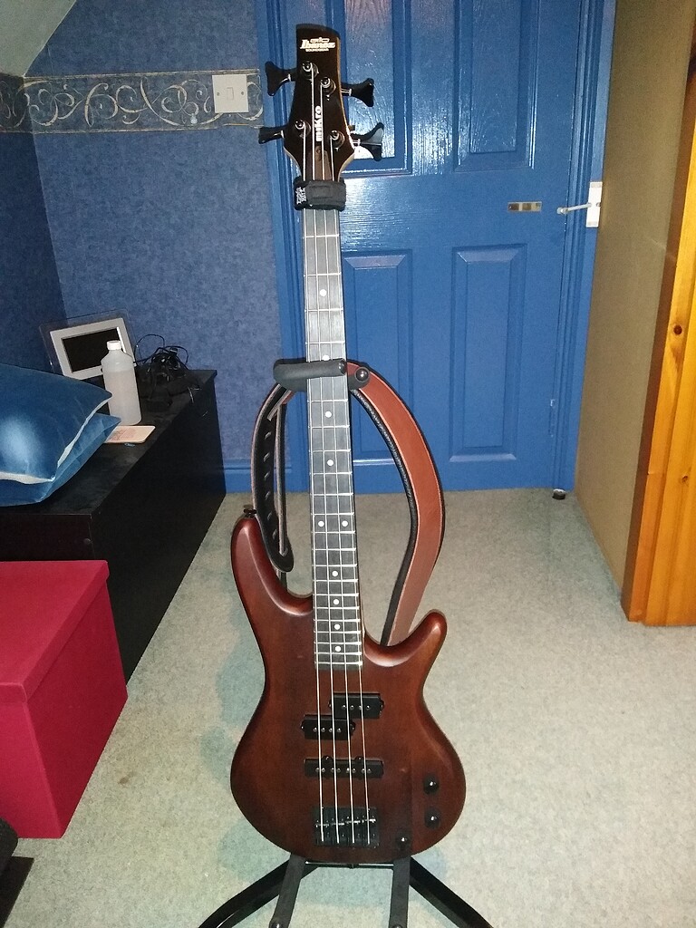 New bass (short scale) - Gear - BassBuzz Forum