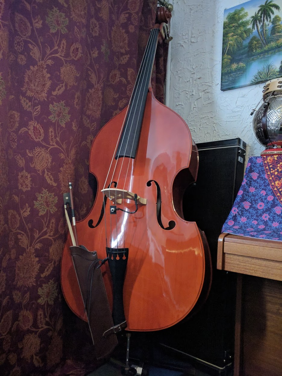 Show Us Your Basses (Part 1) - Gear - BassBuzz Forum