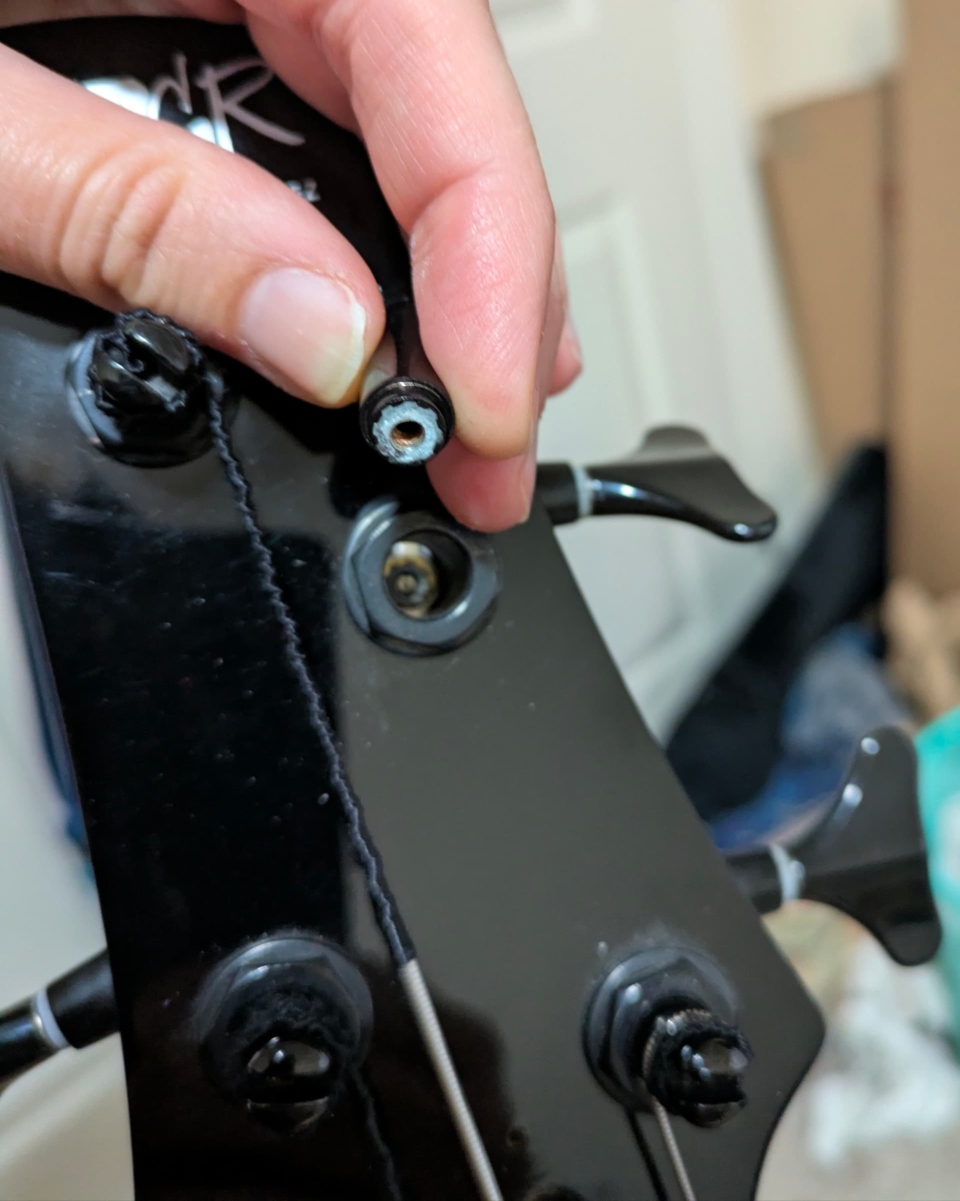 Tuning post came out - Gear - BassBuzz Forum