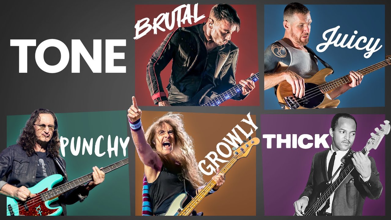 How to Get the PERFECT Bass Tone - BassBuzz Forum