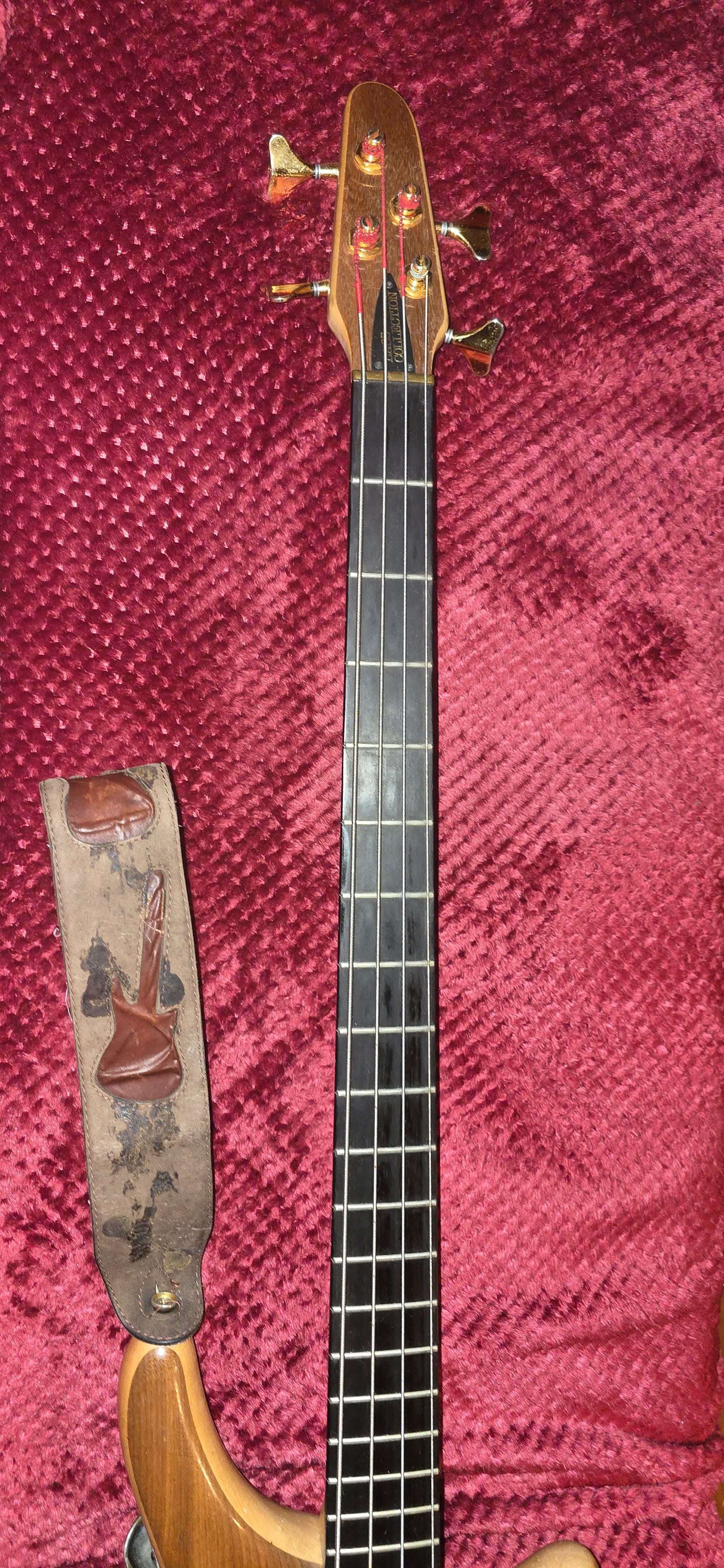 Any info on this? - Gear - BassBuzz Forum